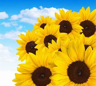 Pull String Bracelets - Paparazzi – Sweetheart Shimmer